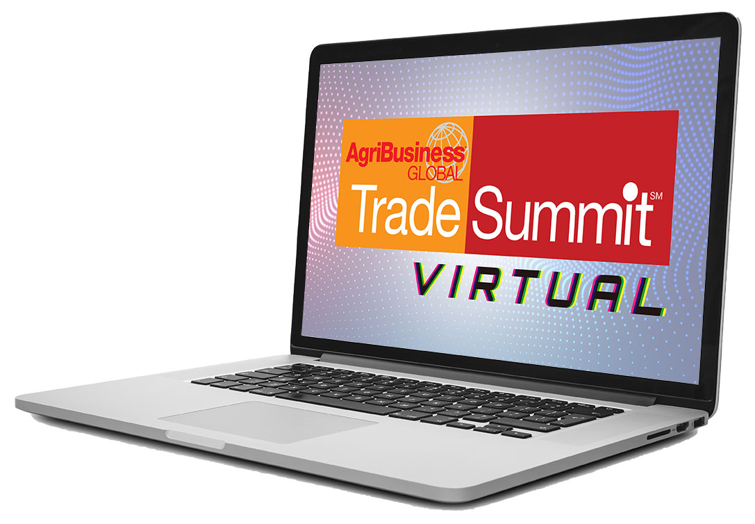 Home 2020 - Trade Summit Global